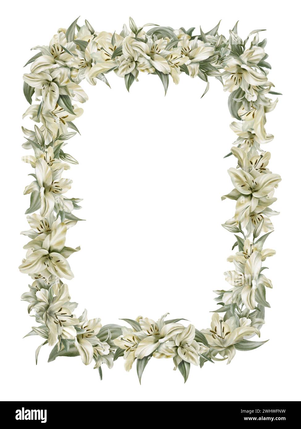 Watercolor floral frame of white lilies isolated on white background ...