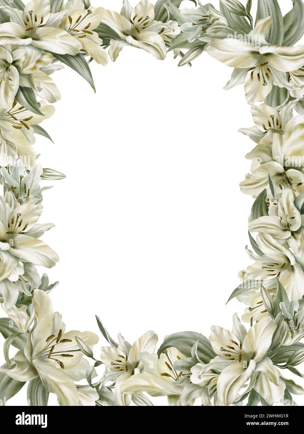 Watercolor floral frame of white lilies isolated on white background ...