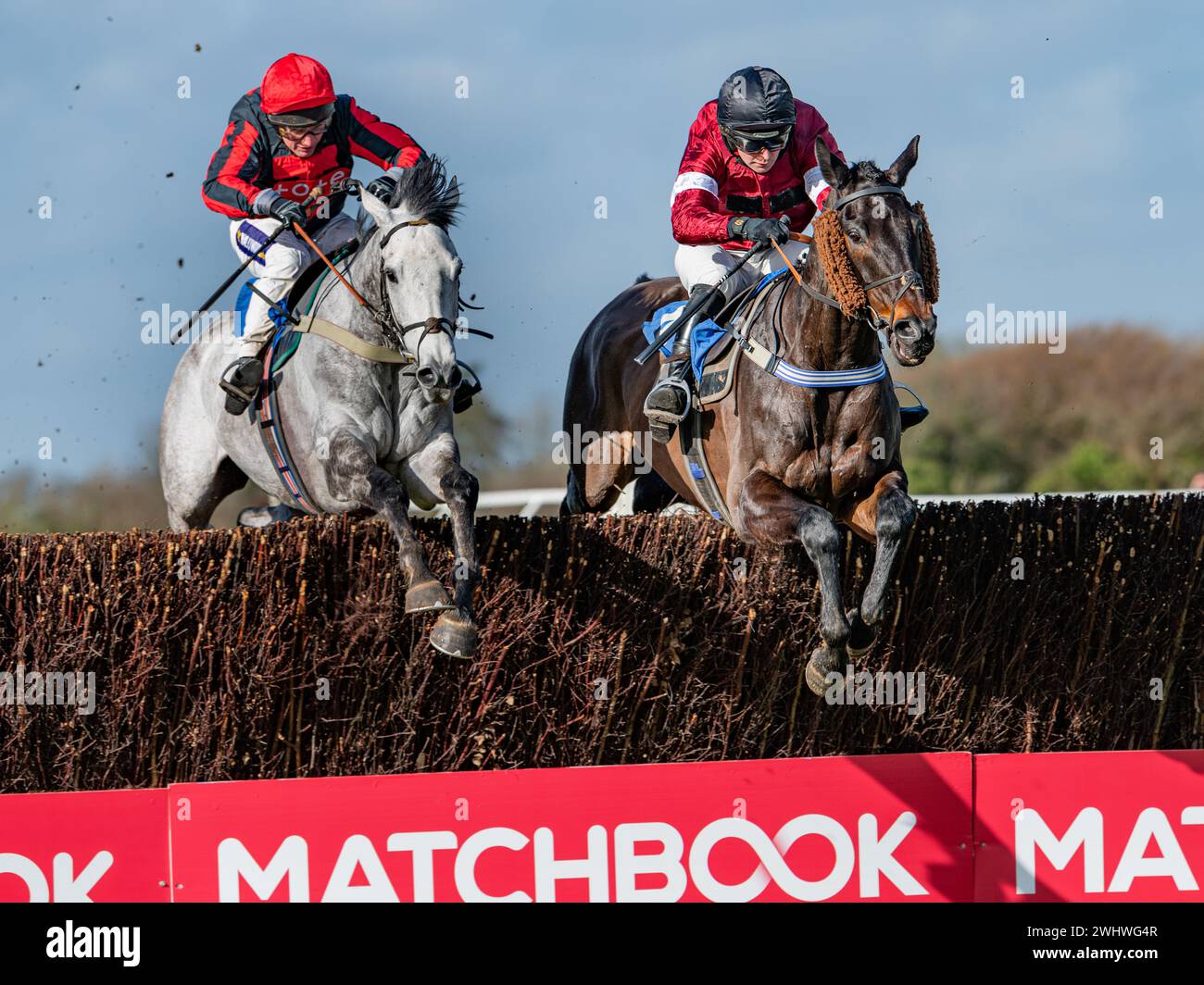 Flagrant delitiep racing at wincanton hi-res stock photography and ...
