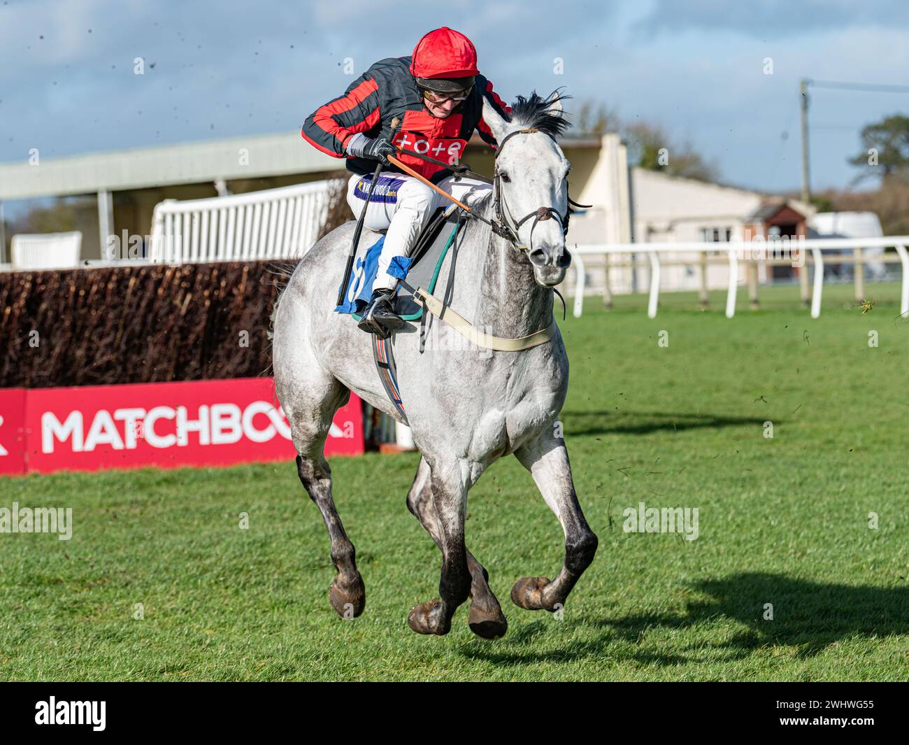 Robert walford trained hi-res stock photography and images - Alamy