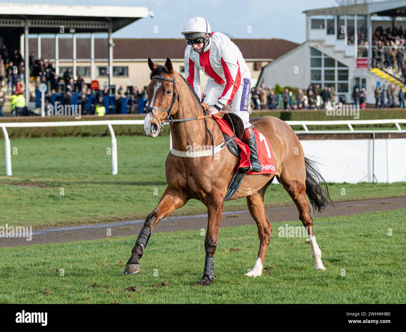 Wincanton Races - Kingwell Hurdle, February 19th 2022 Stock Photo - Alamy