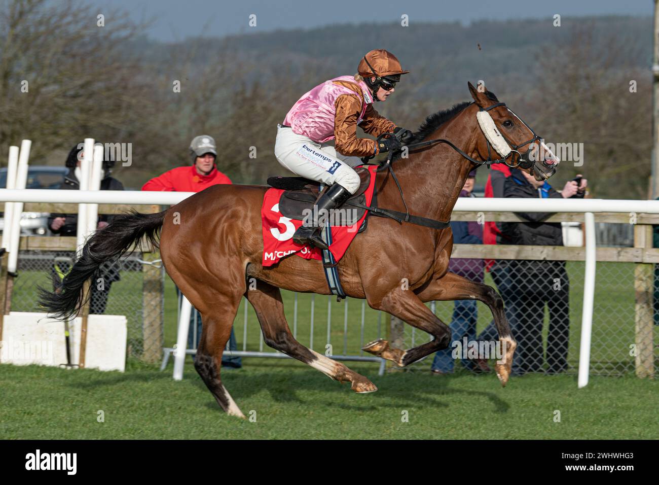 Faivoir trained by dan skelton hi-res stock photography and images - Alamy