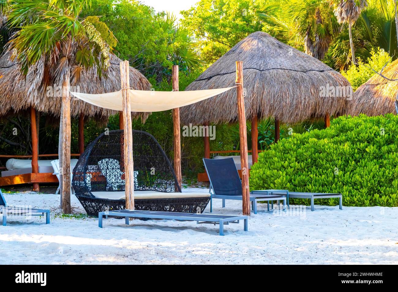 Palapa thatched roofs palm trees parasols umbrellas and sun loungers at ...