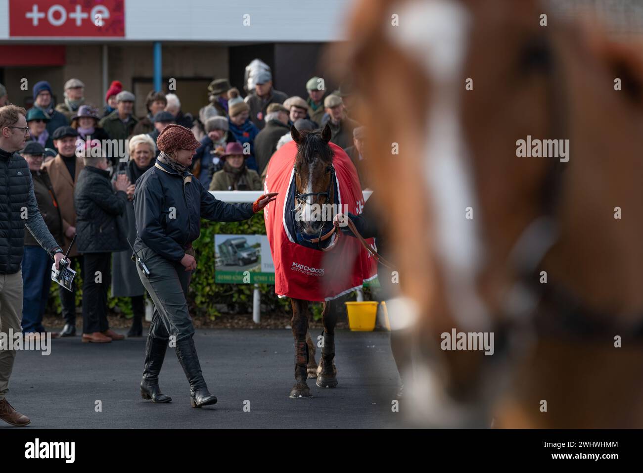 Wincanton Races - Kingwell Hurdle, February 19th 2022 Stock Photo - Alamy