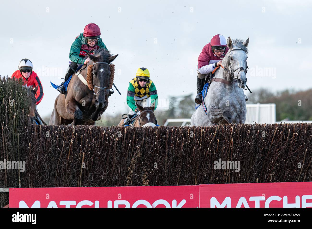 Sixth race at Wincanton - The Harry Dufosee Memorial Cup, February 19th ...