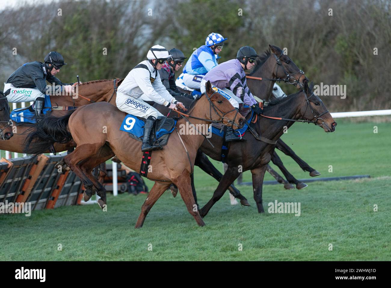 Seventh race at Wincanton, February 19th 2022 Stock Photo - Alamy