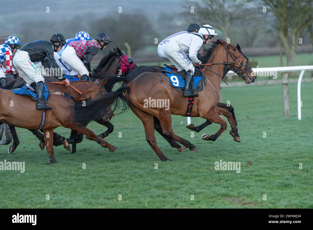 Seventh race at Wincanton, February 19th 2022 Stock Photo - Alamy