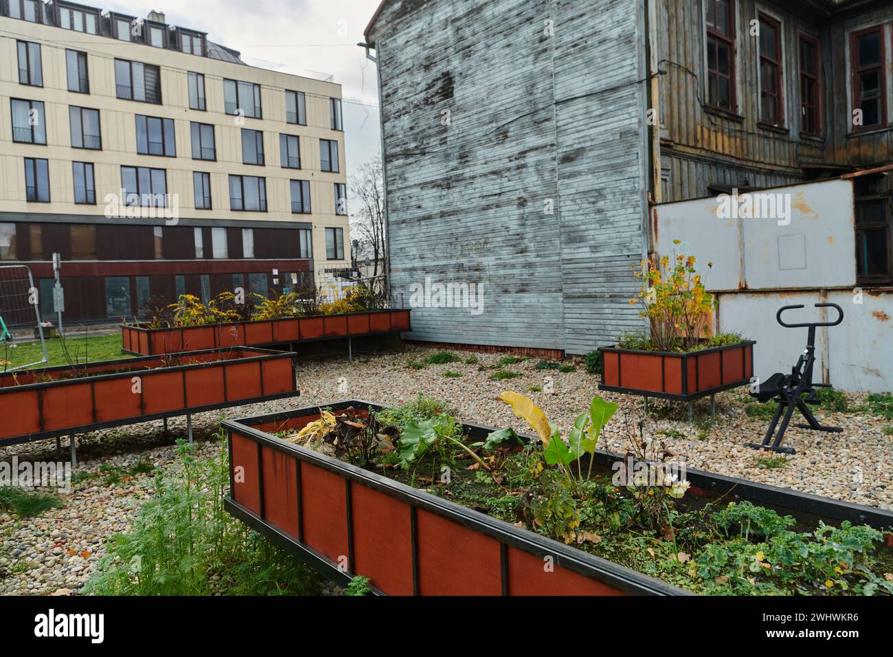 A picturesque autumn scene in the city of Riga, Lithuania, featuring a ...