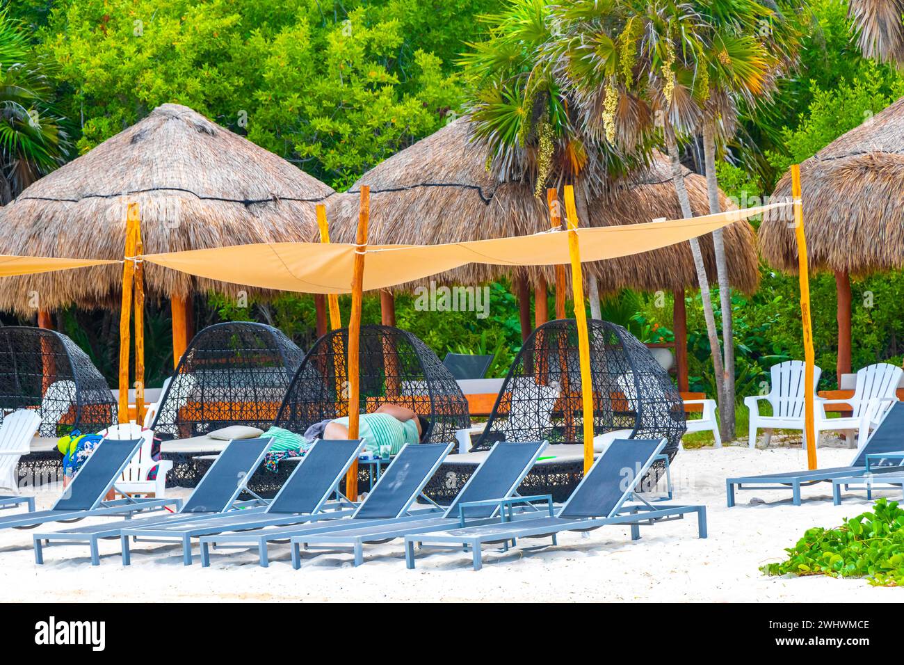 Palapa thatched roofs palm trees parasols umbrellas and sun loungers at ...