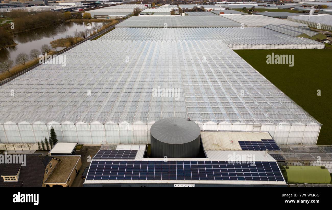 Aerial view of greenhouses, de Lier, Holland Stock Photo - Alamy