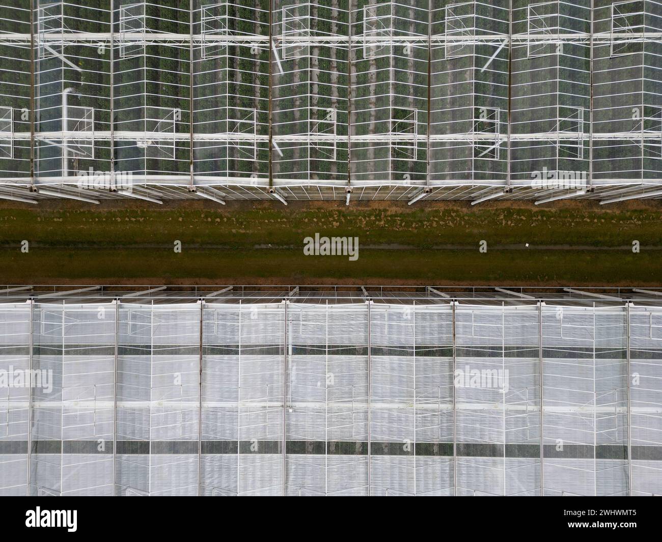 Aerial view of greenhouses, de Lier, Holland Stock Photo - Alamy