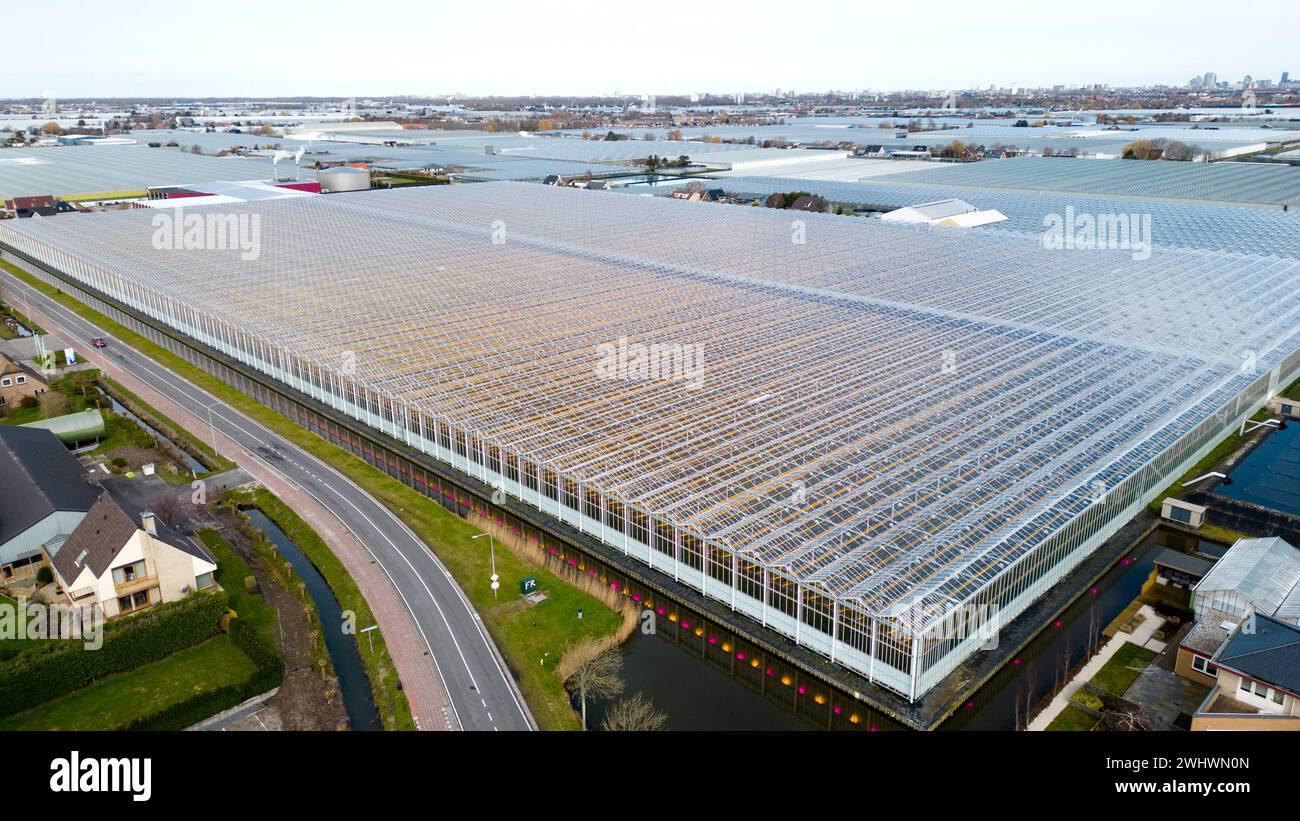 Aerial view of greenhouses, de Lier, Holland Stock Photo - Alamy