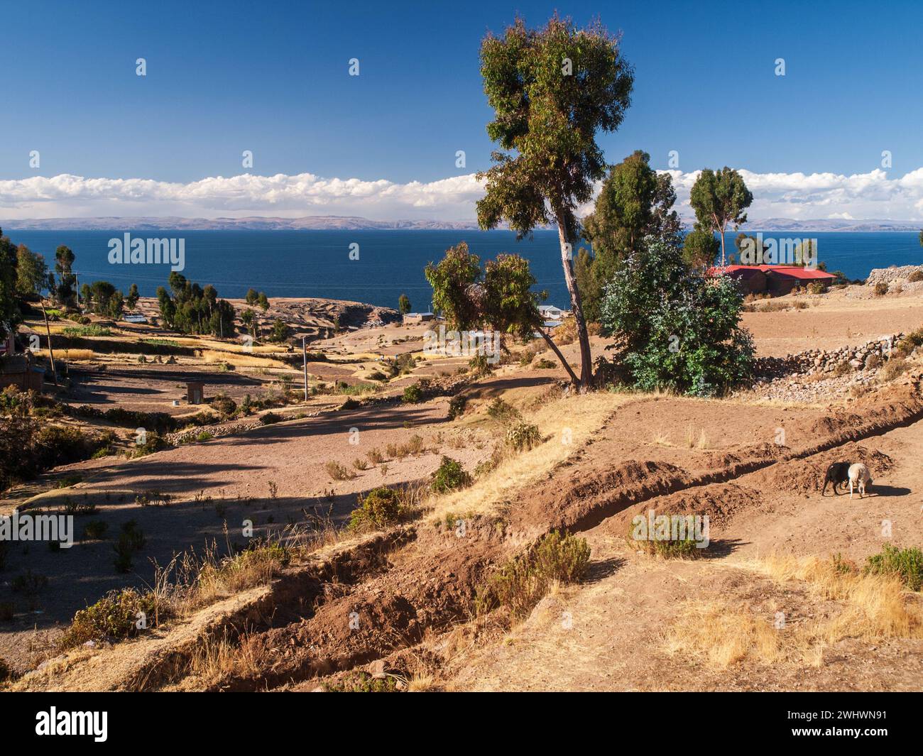 Viajar puno hi-res stock photography and images - Alamy