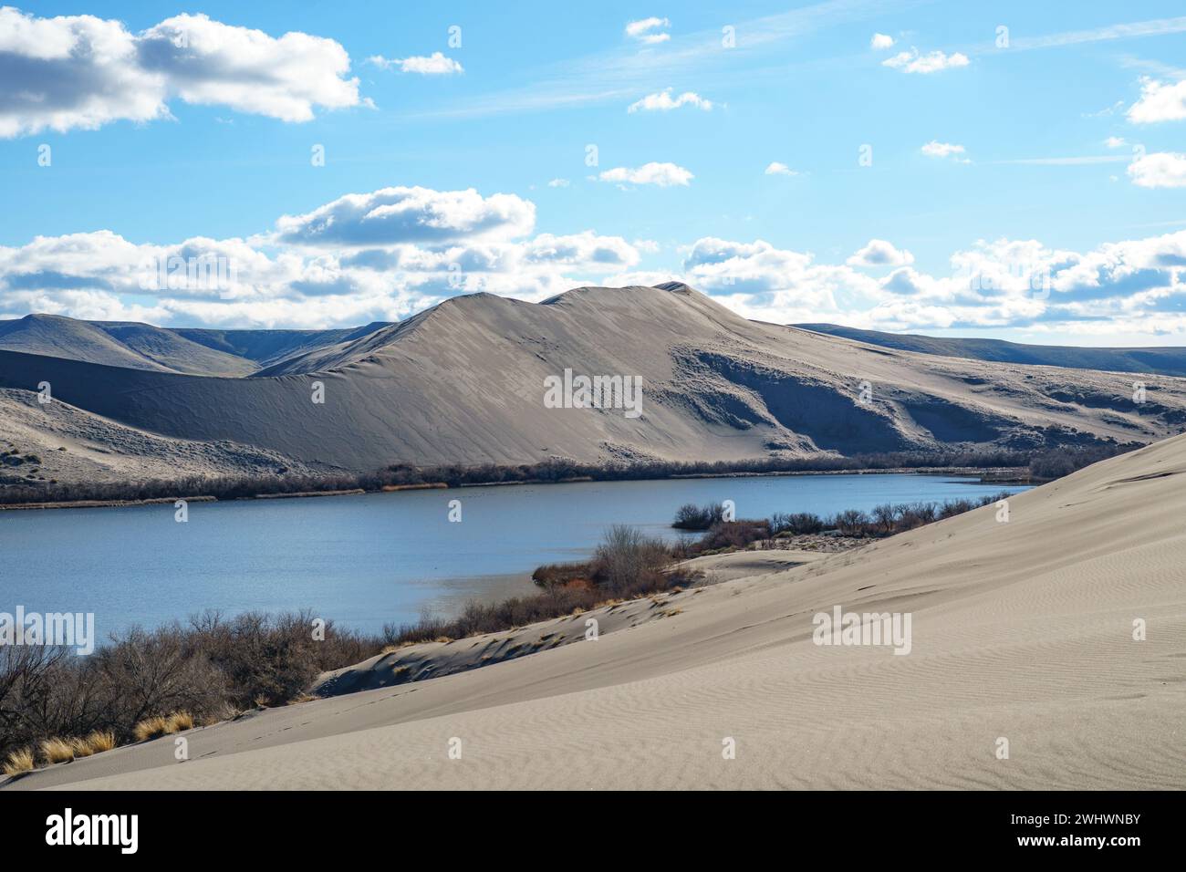 Sand dune formations, Desert Oasis, Bruneau Dunes State Park, Owyhee ...