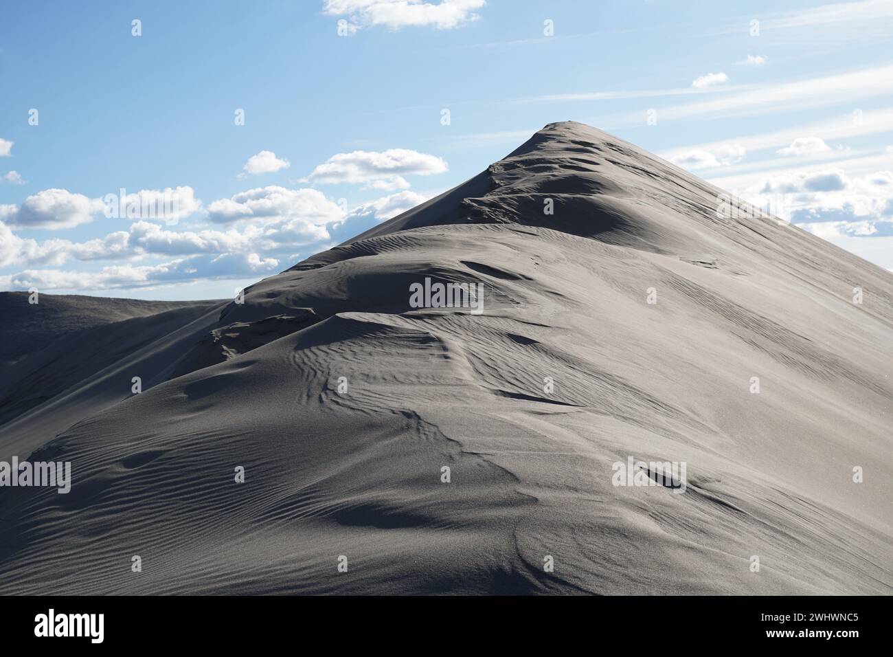 Sand dune formations, Desert Oasis, Bruneau Dunes State Park, Owyhee ...