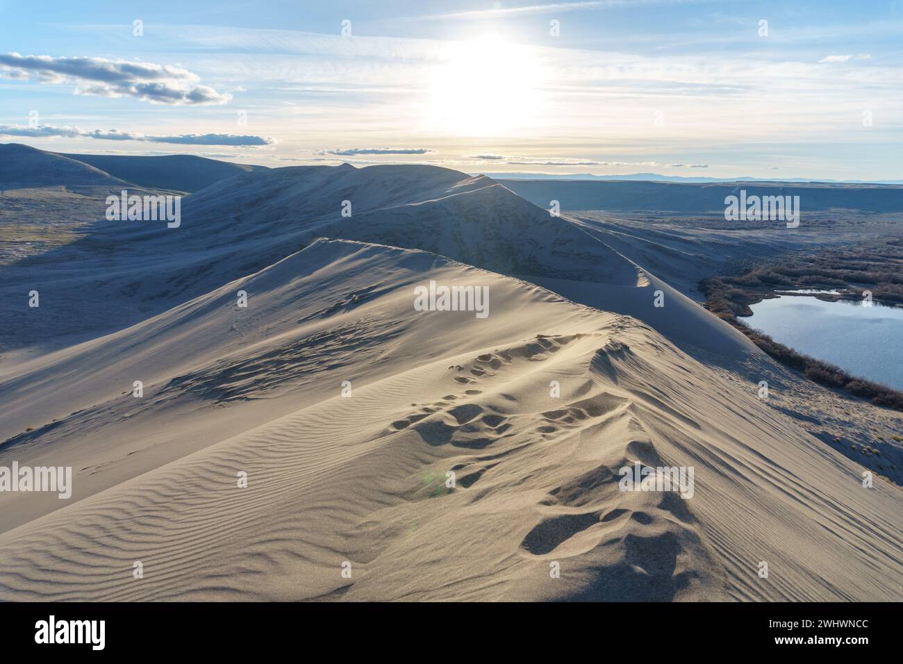 Sand dune formations, Desert Oasis, Bruneau Dunes State Park, Owyhee ...