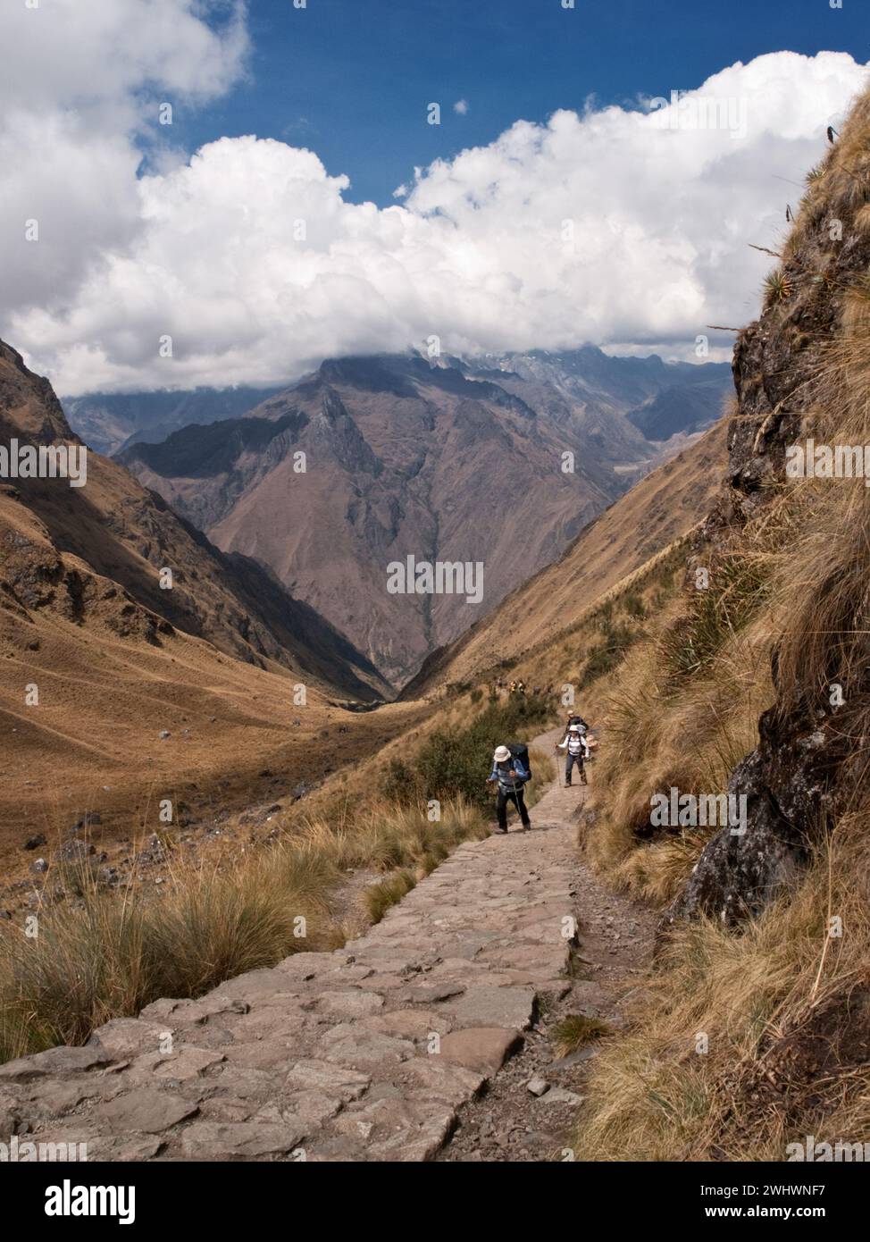 Tourist hikers climbing to an altitude of over 4,000 meters on the Inca trail towards the sacred ...