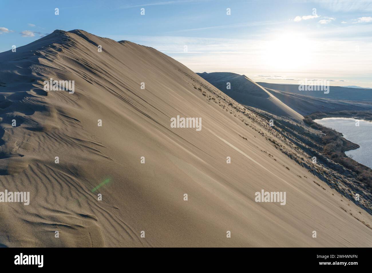 Sand dune formations, Desert Oasis, Bruneau Dunes State Park, Owyhee ...