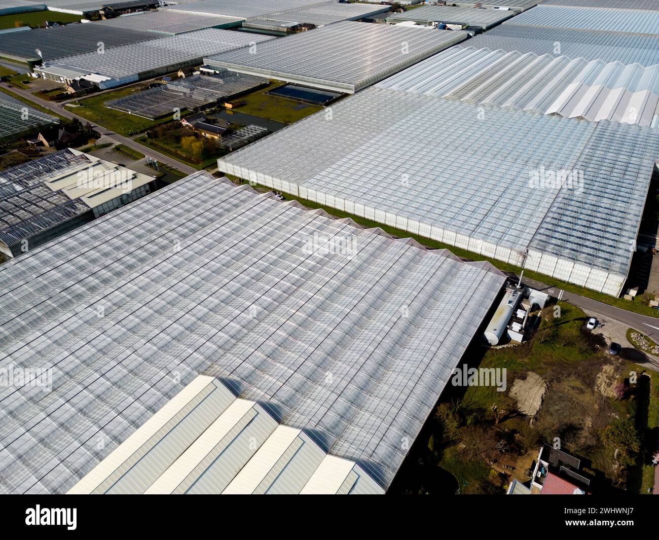 Aerial view of greenhouses, de Lier, Holland Stock Photo - Alamy