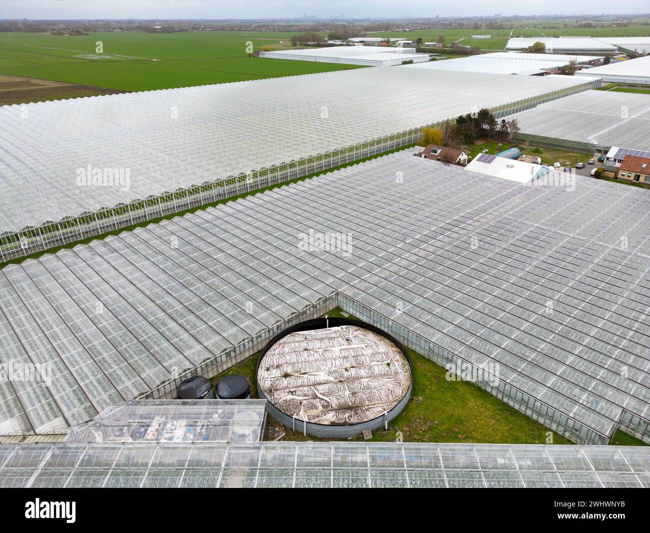 Aerial view of greenhouses, de Lier, Holland Stock Photo - Alamy