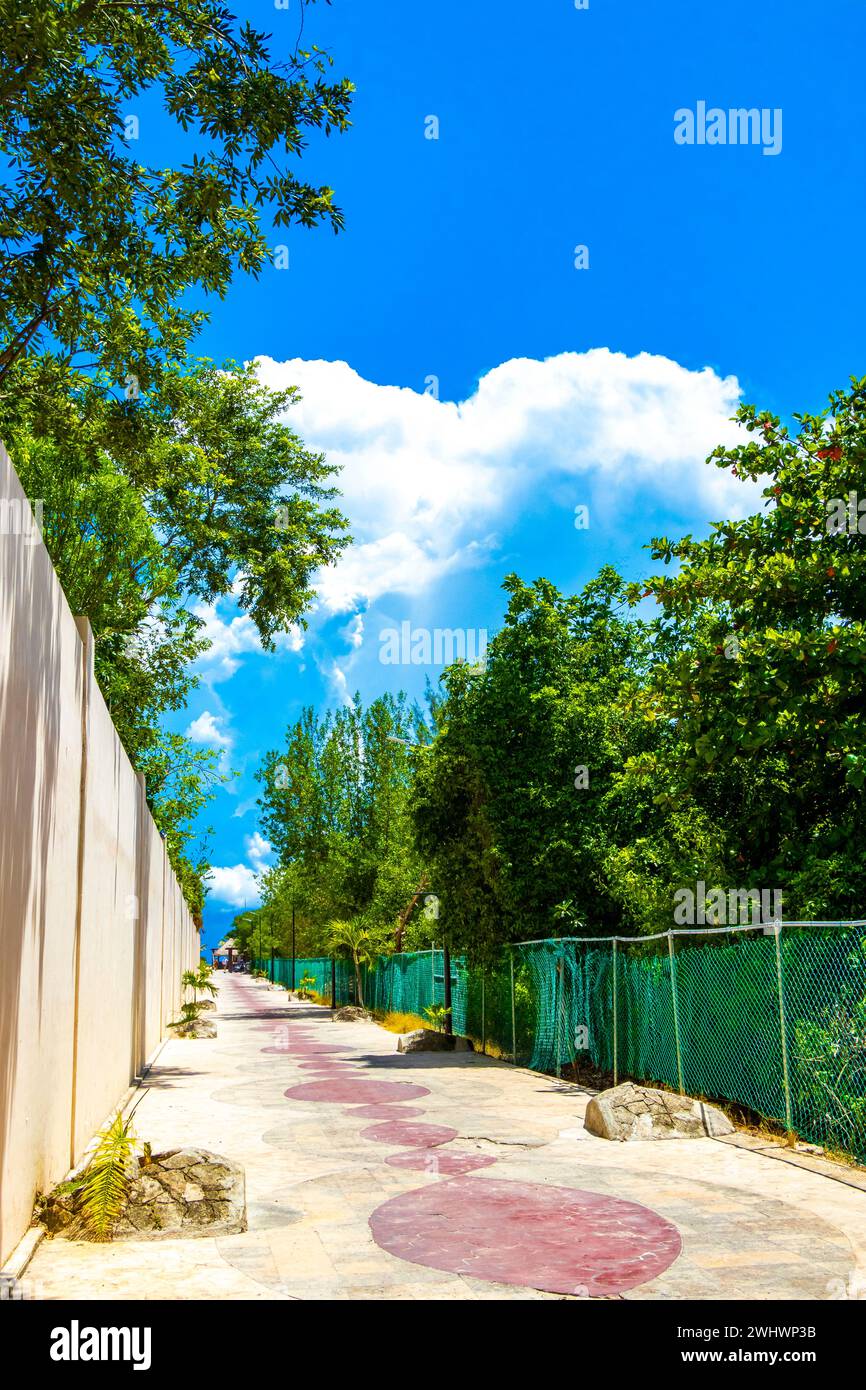 Playa del Carmen Quintana Roo Mexico 22. March 2021 Tropical natural ...