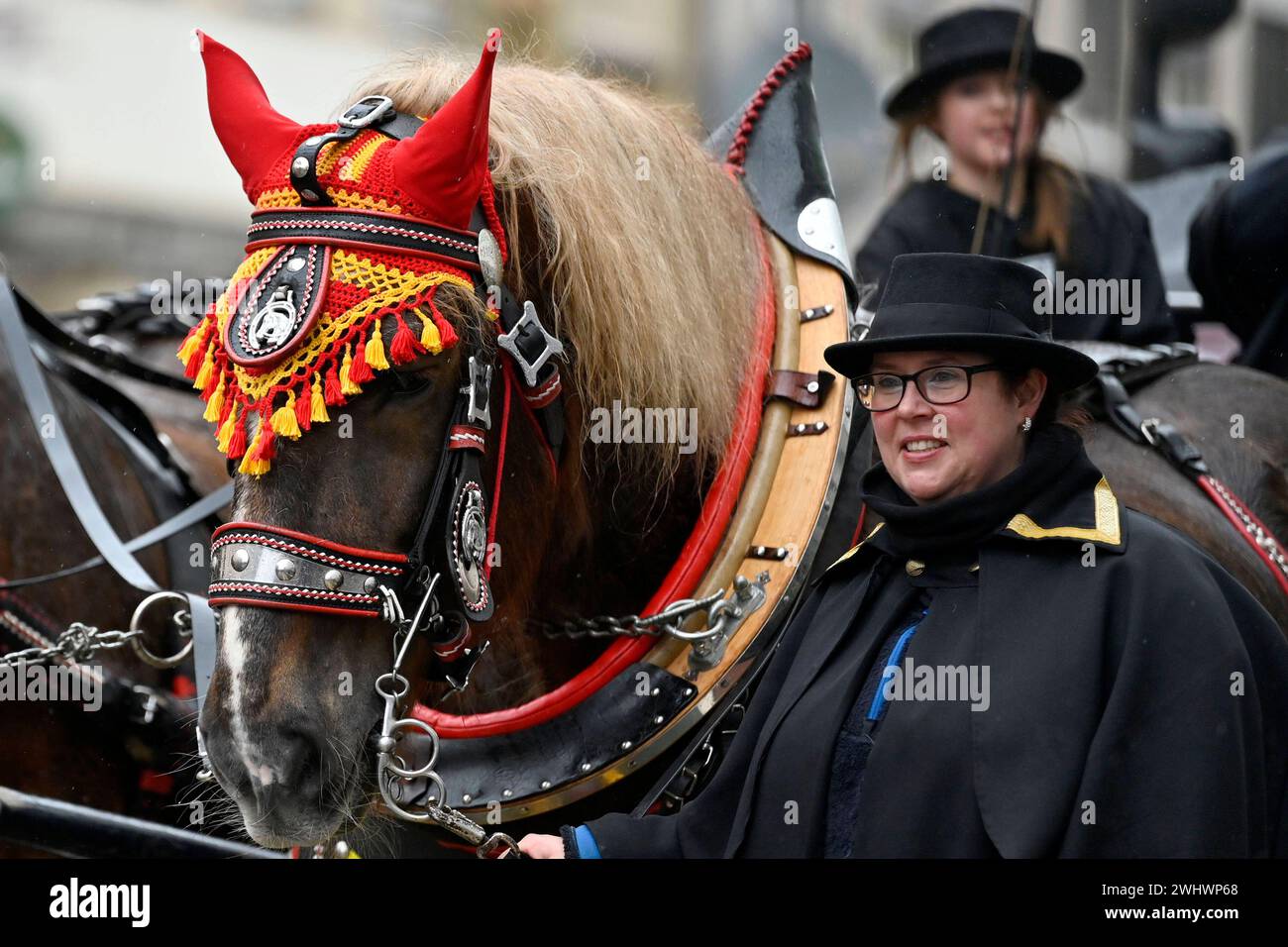 Teilnehmer mit Pferd beim Nürnberger Fastnachtszug am Faschingssonntag ...