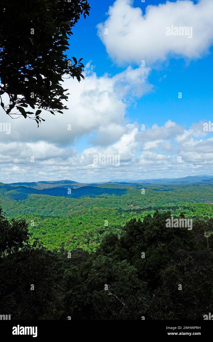 Views from Skyrail Rainforest Cableway in the Barron Gorge National ...