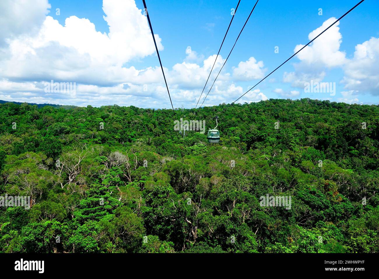 Views from Skyrail Rainforest Cableway in the Barron Gorge National ...