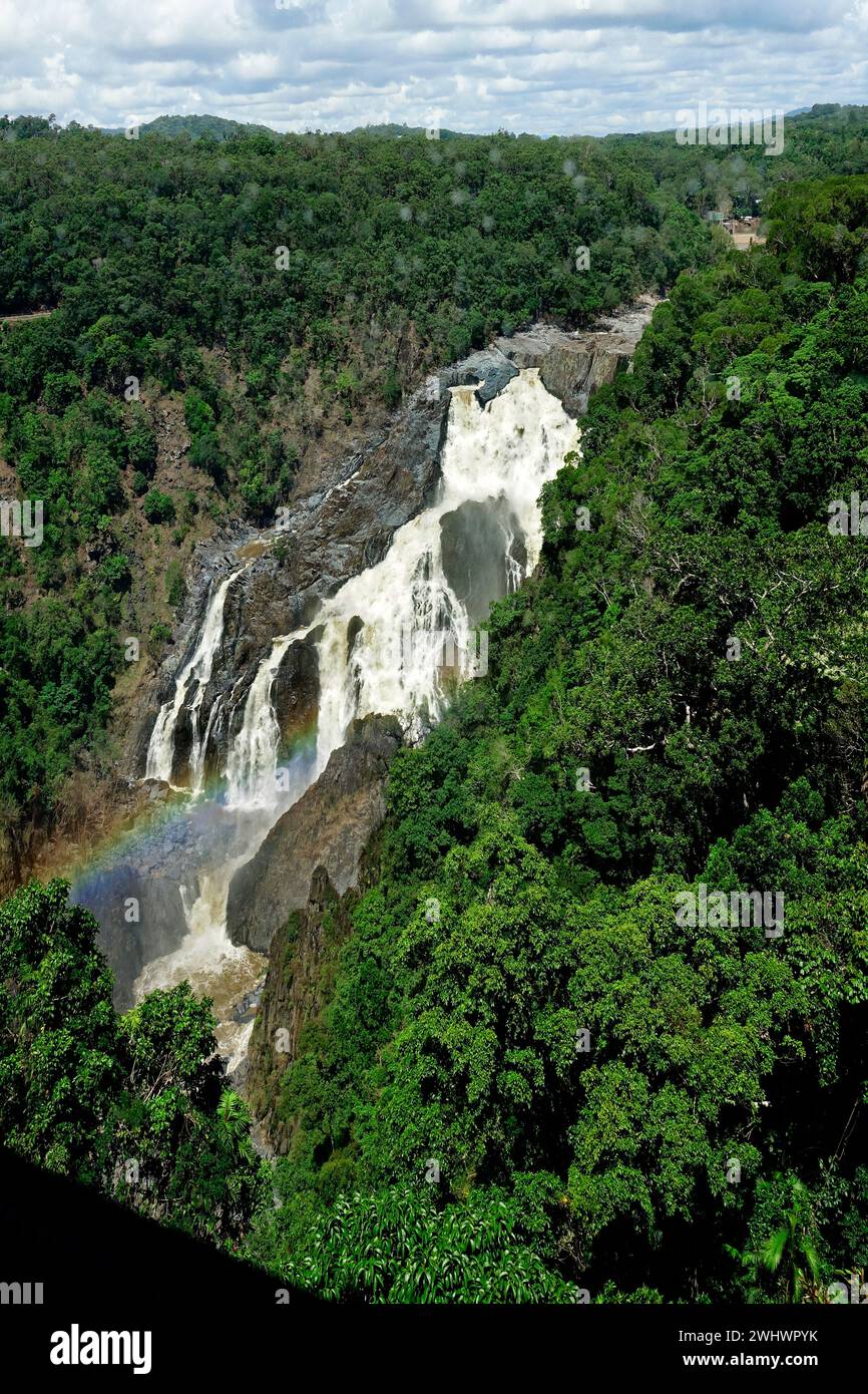 Barron River Skyrail Rainforest Cableway in the Barron Gorge National ...