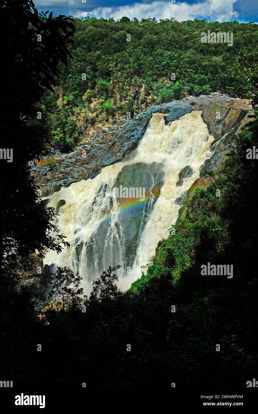 Barron River Skyrail Rainforest Cableway in the Barron Gorge National ...