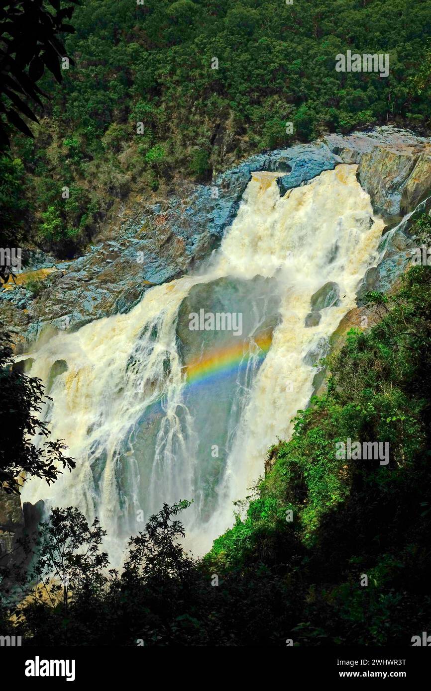 Barron River Skyrail Rainforest Cableway in the Barron Gorge National ...