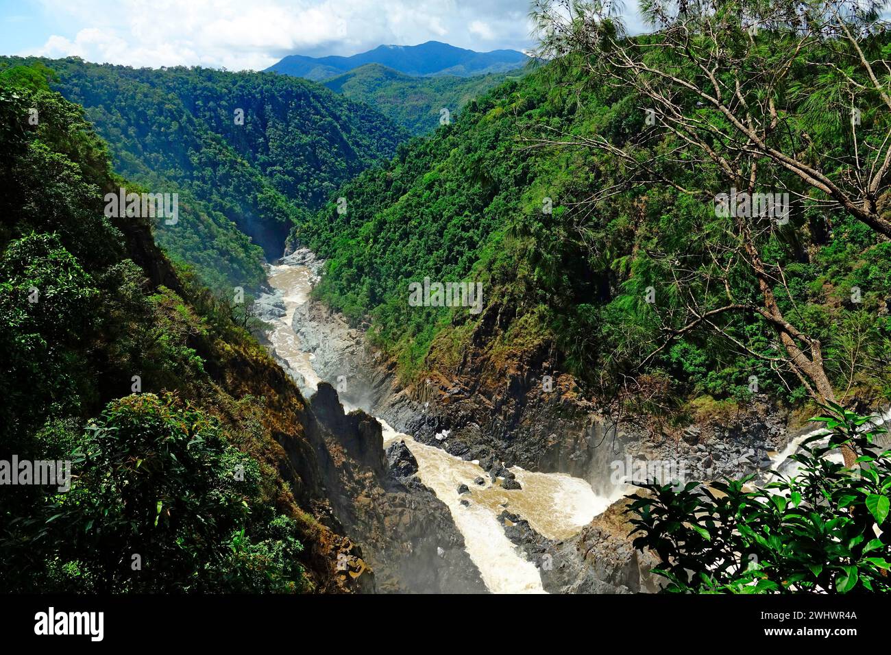 Barron River Skyrail Rainforest Cableway in the Barron Gorge National ...