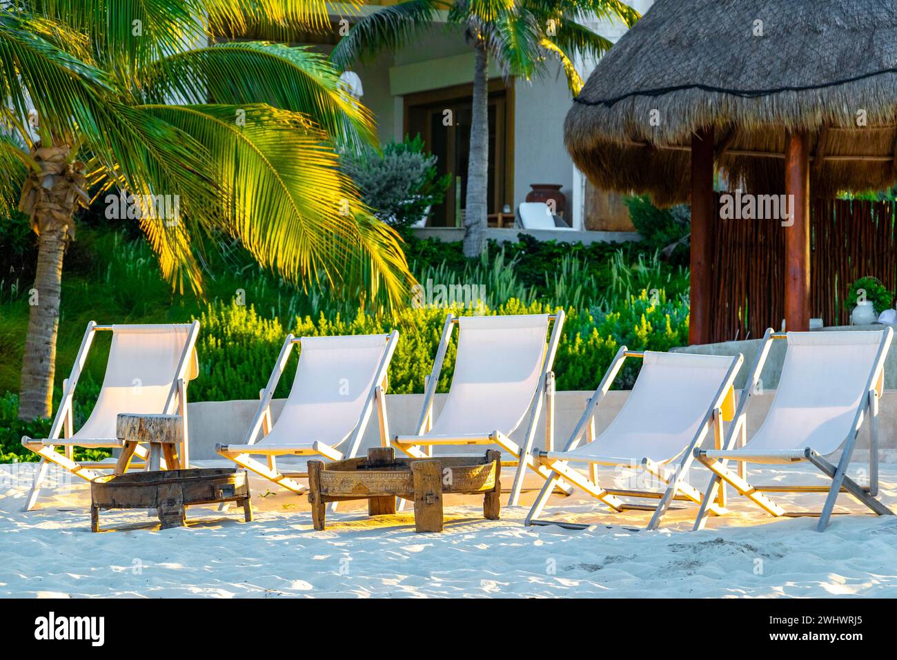 Palapa thatched roofs palm trees parasols umbrellas and sun loungers at ...