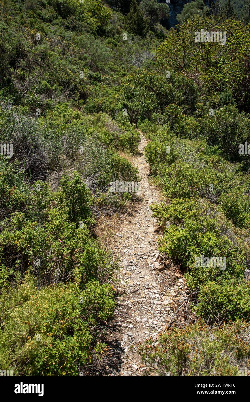 Nature Hiking path in the mountains. Nature mountain trail Stock Photo ...