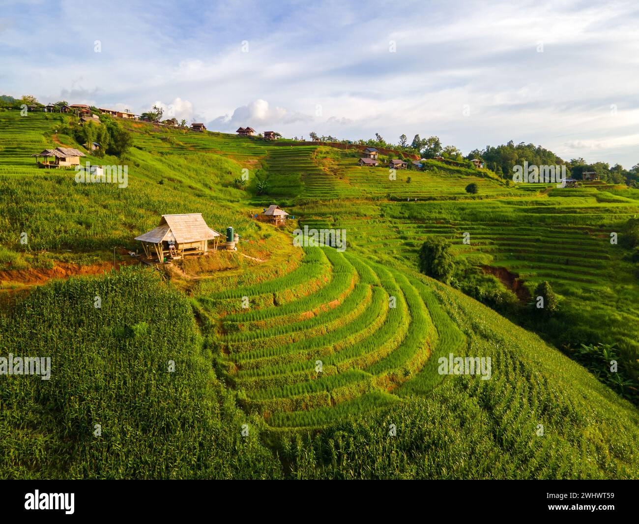 Terrace farms southeast asia hi-res stock photography and images - Alamy