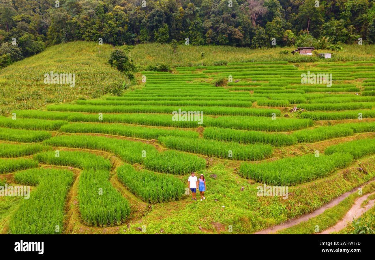 Terraced Rice Field in Chiangmai, Thailand. A couple of men and woman ...