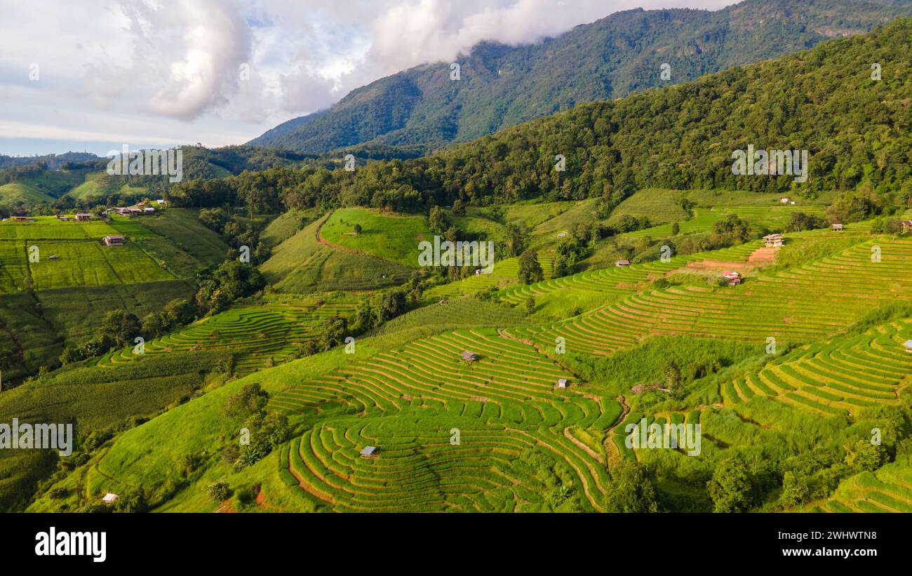 Terraced Rice Field in Chiangmai, Thailand Stock Photo - Alamy