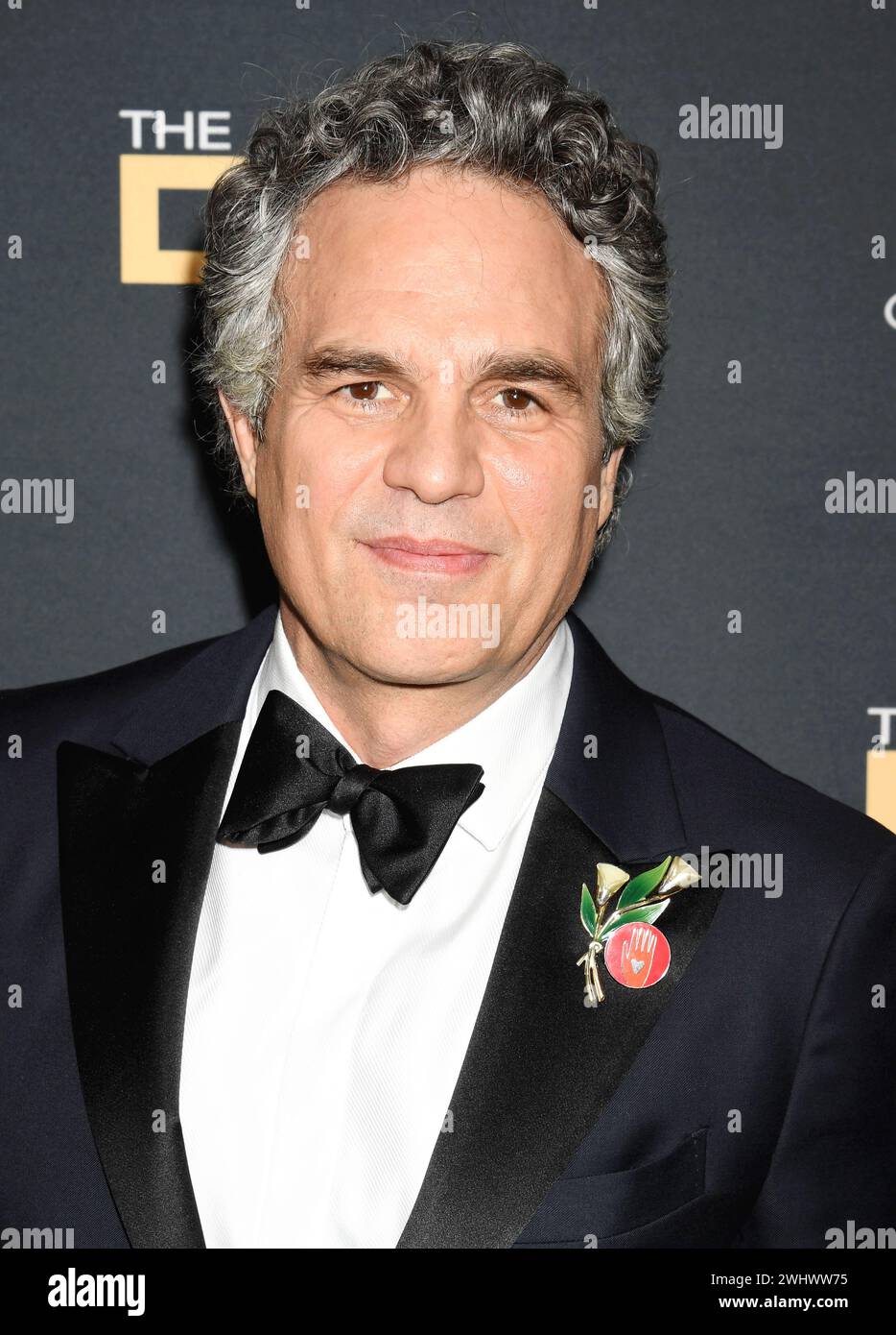 BEVERLY HILLS, CALIFORNIA - FEBRUARY 10: Mark Ruffalo attends the 76th ...