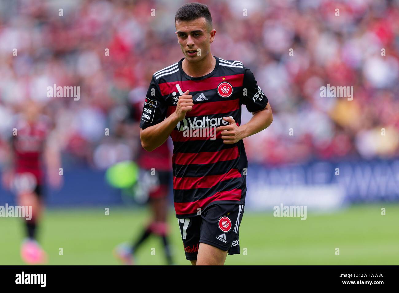 Sydney, Australia. 11th Feb, 2024. Alexander Badolato of the Wanderers ...
