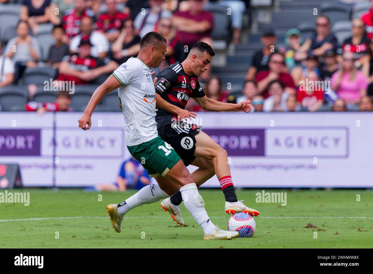 Dane ingham hi-res stock photography and images - Alamy