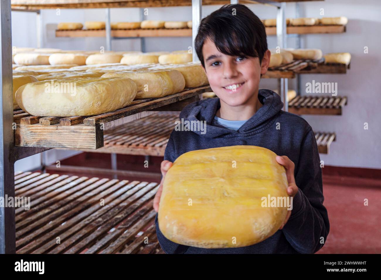Boy holding a cheese Stock Photo - Alamy