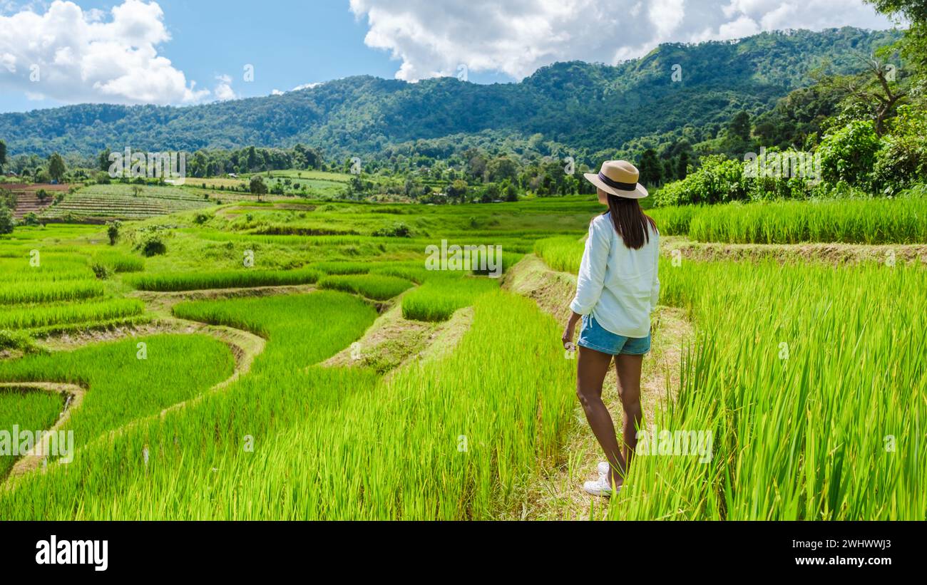 Asian woman watching the Terraced Rice Field in Chiangmai, Royal ...