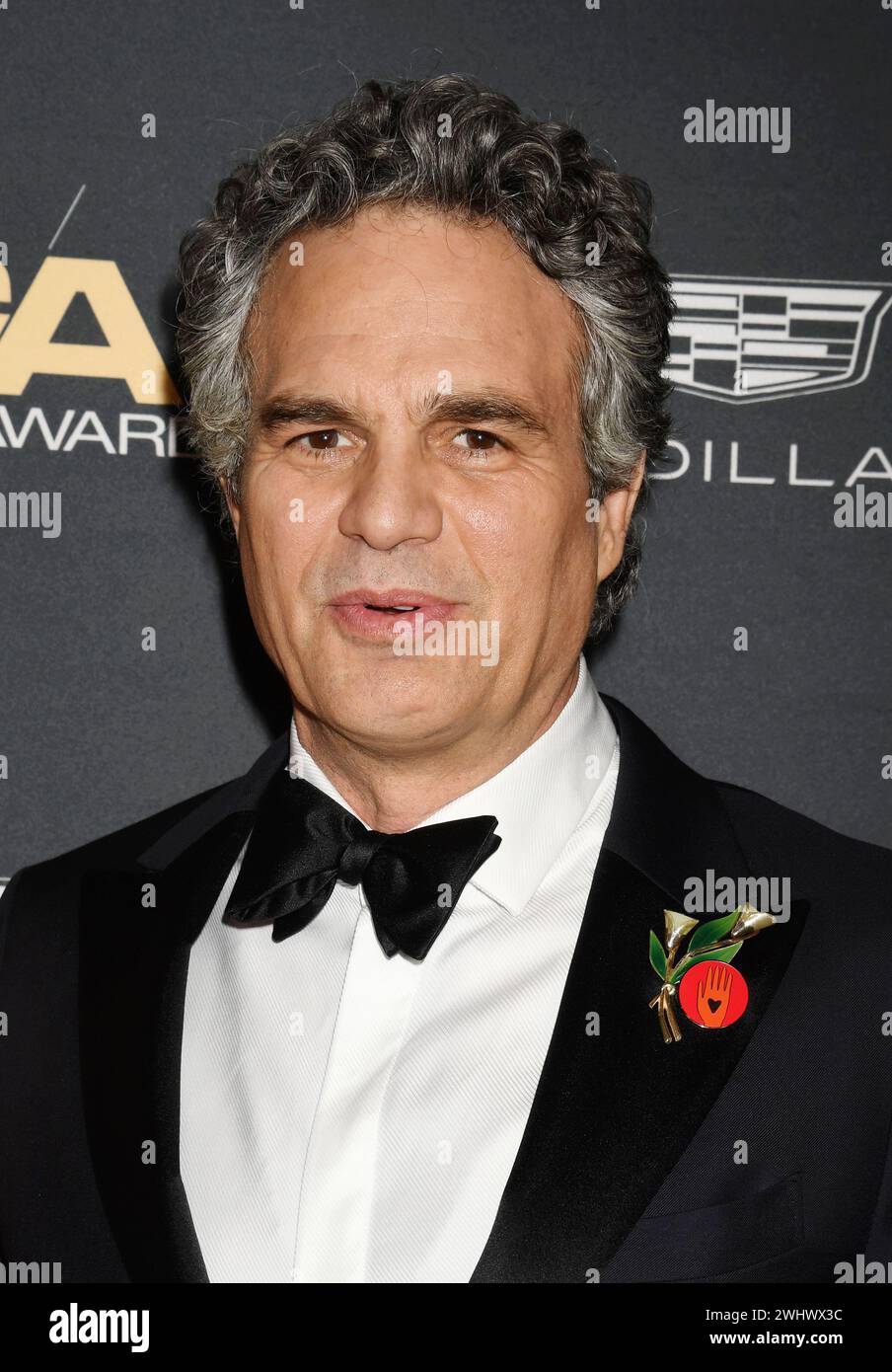 BEVERLY HILLS, CALIFORNIA - FEBRUARY 10: Mark Ruffalo attends the 76th ...