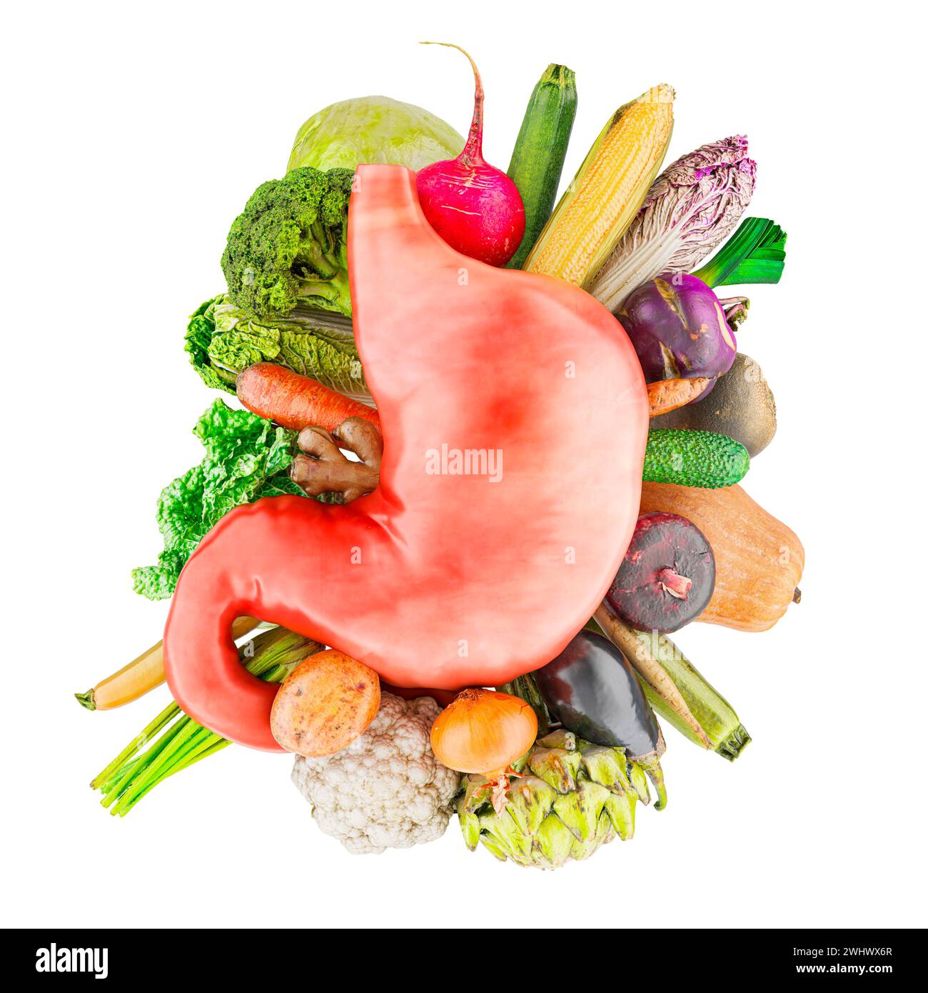 Vegetables for stomach. Healthy food for Digestive System concept. 3D ...