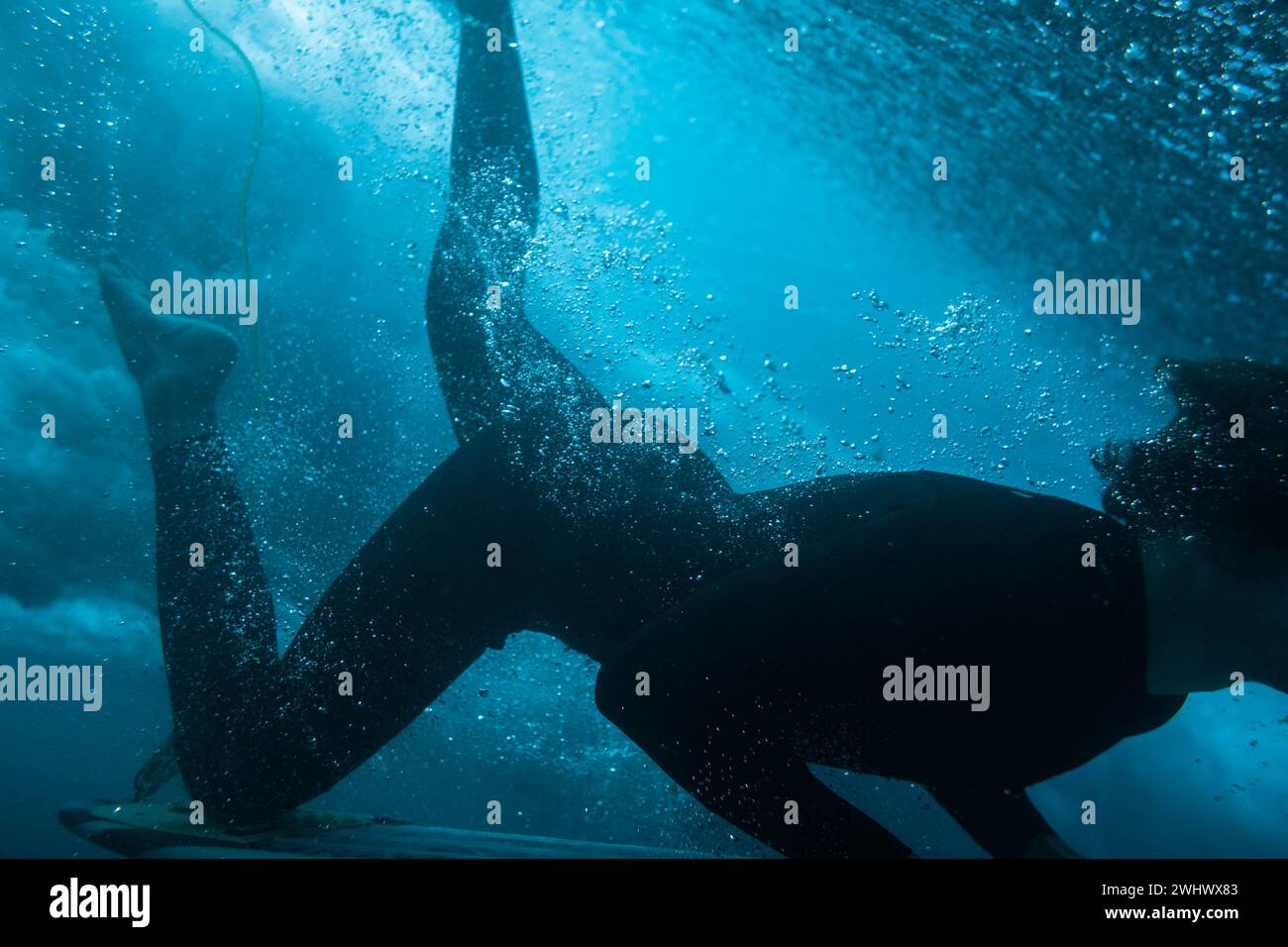 Underwater image of a surfer diving into a passing wave Stock Photo - Alamy