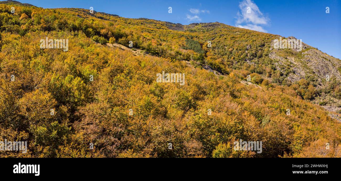 Tejera hi-res stock photography and images - Alamy