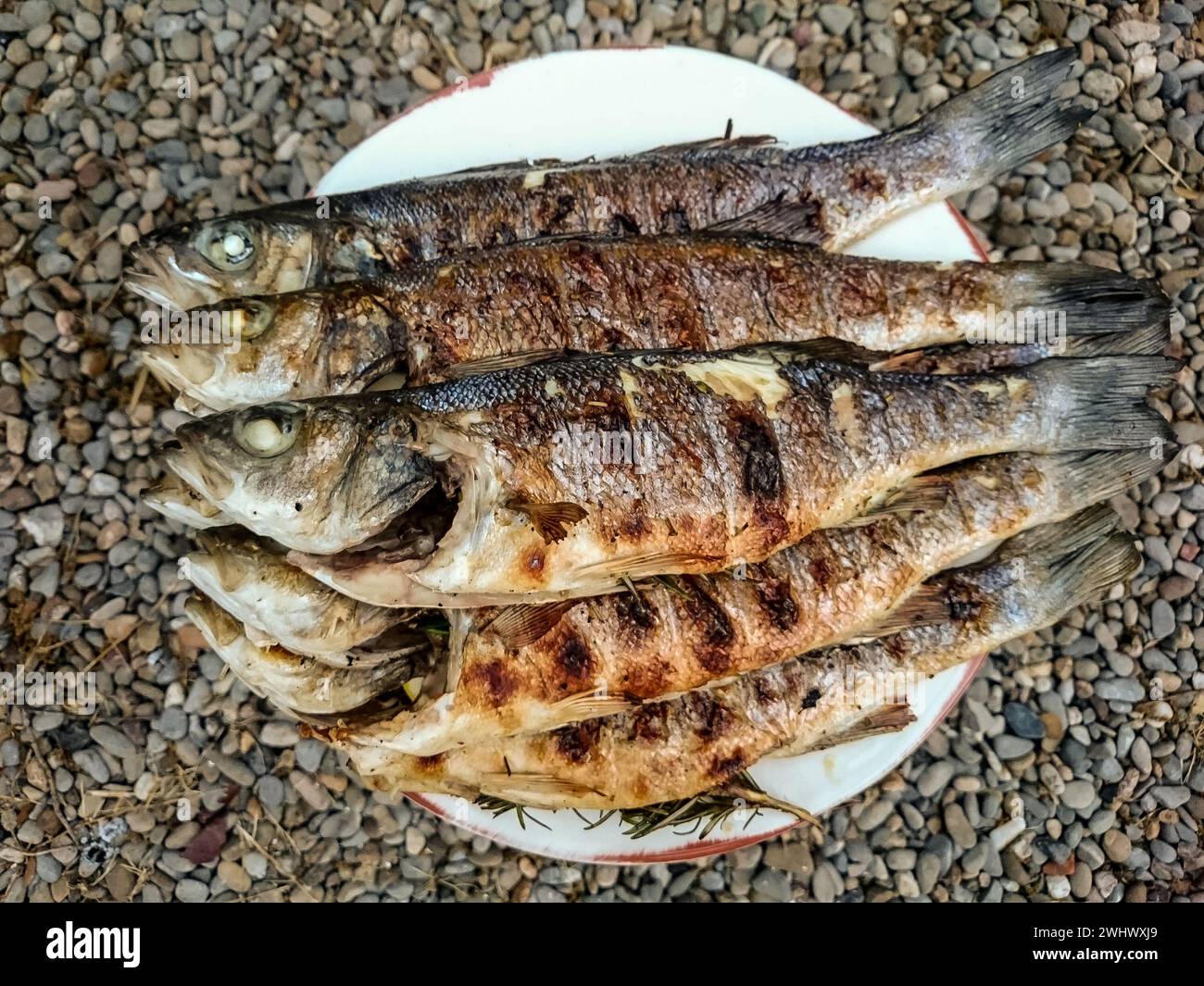 Food grilled sea bass hi-res stock photography and images - Alamy