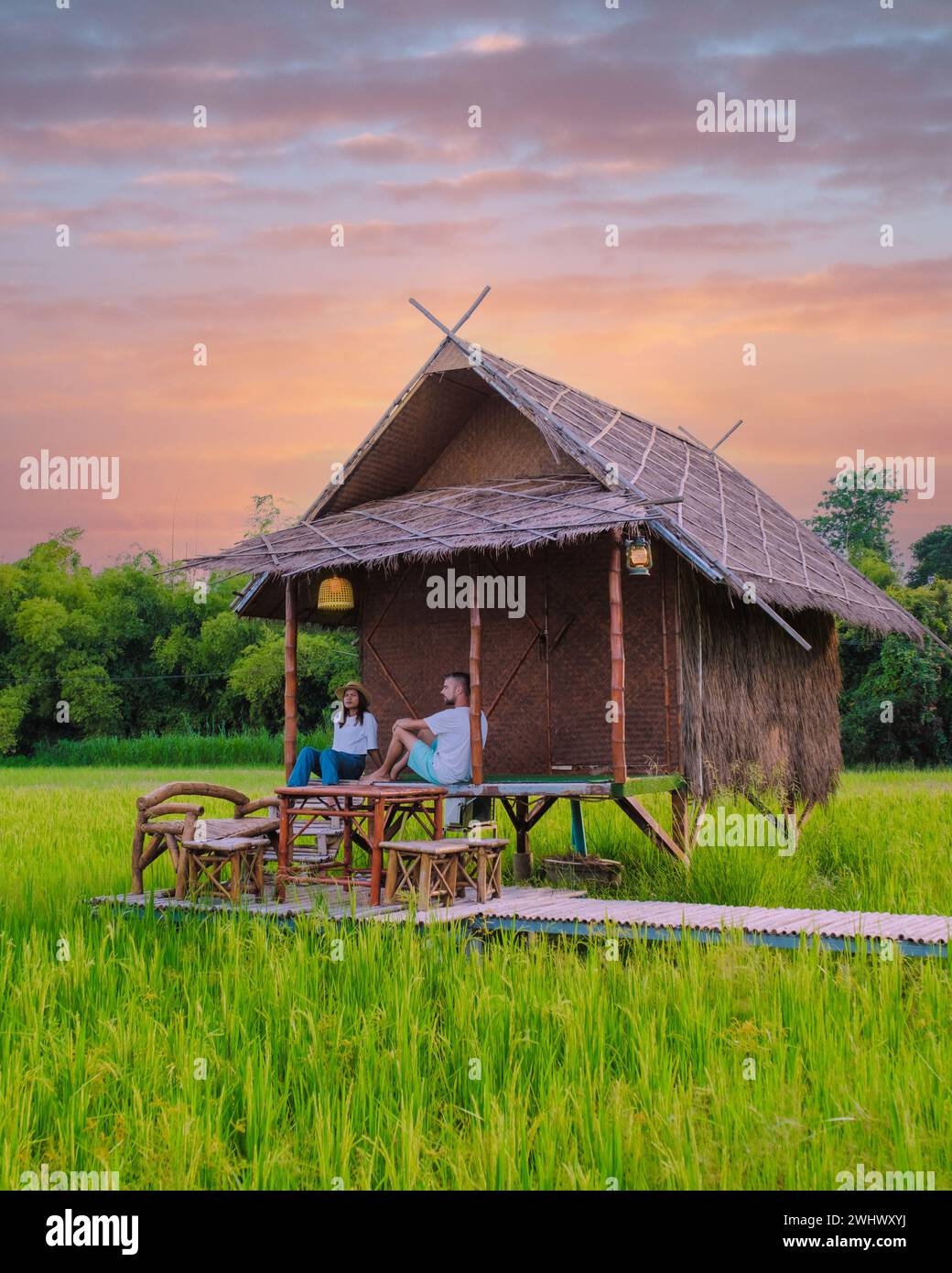 Small homestay at the farm with green rice paddy field in Central ...