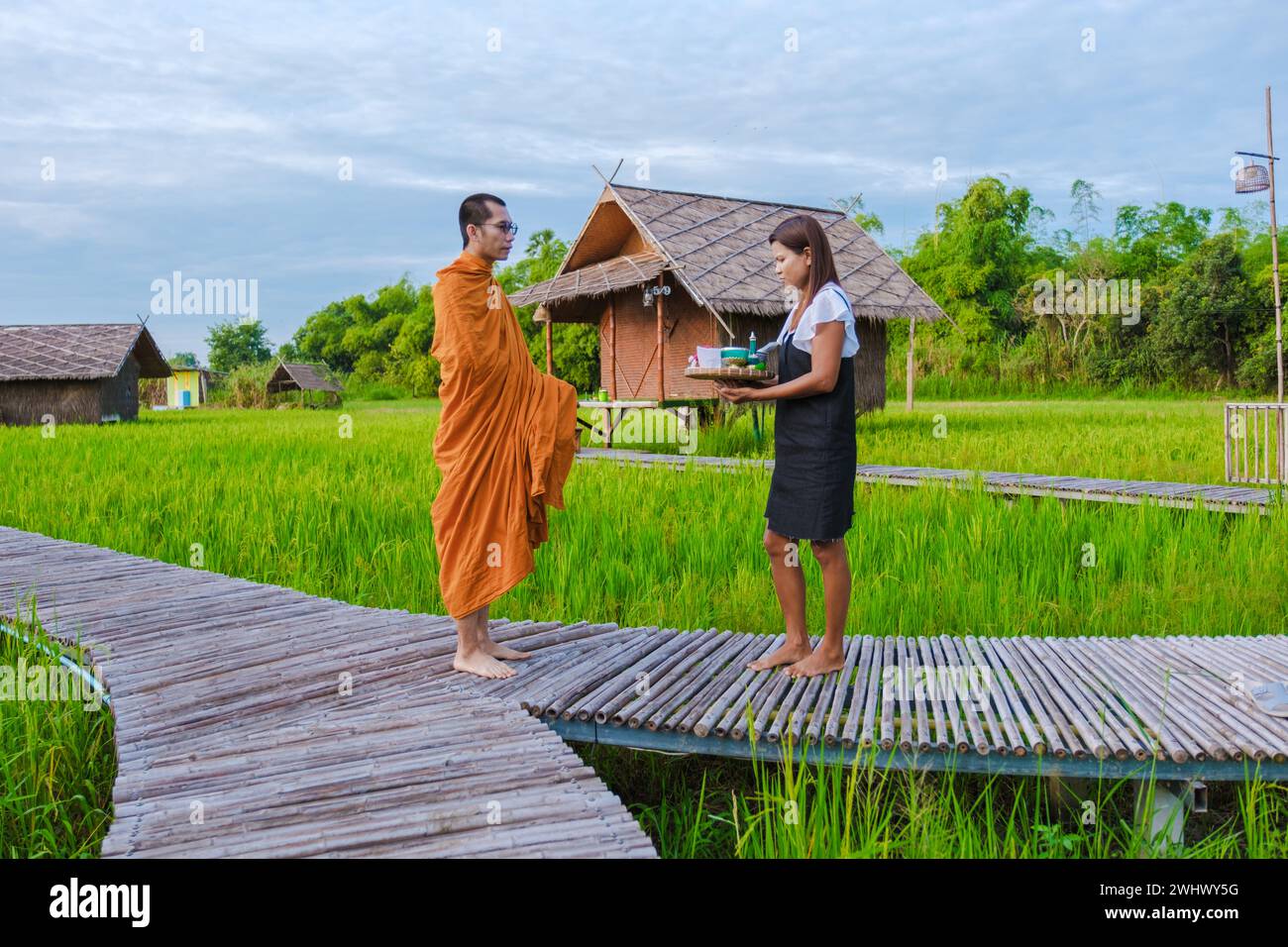 A Thai woman giving food at a monk in the morning surrounded by green ...