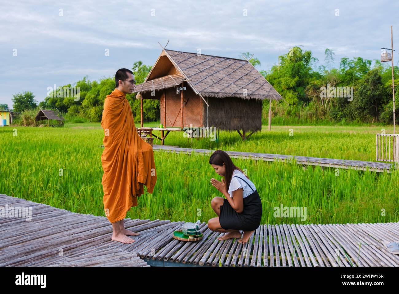 A Thai woman giving food at a monk in the morning surrounded by green ...
